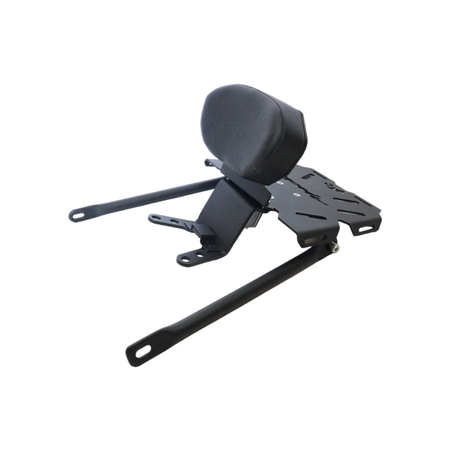 Plate Carrier with Backrest for TVS Apache RTR 200 – GTR Pitstop